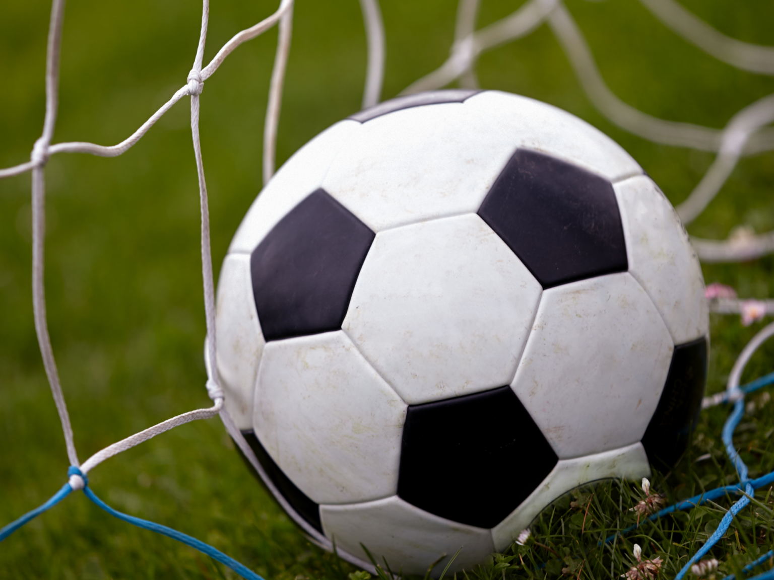 Youth Soccer – O'Fallon Parks & Recreation